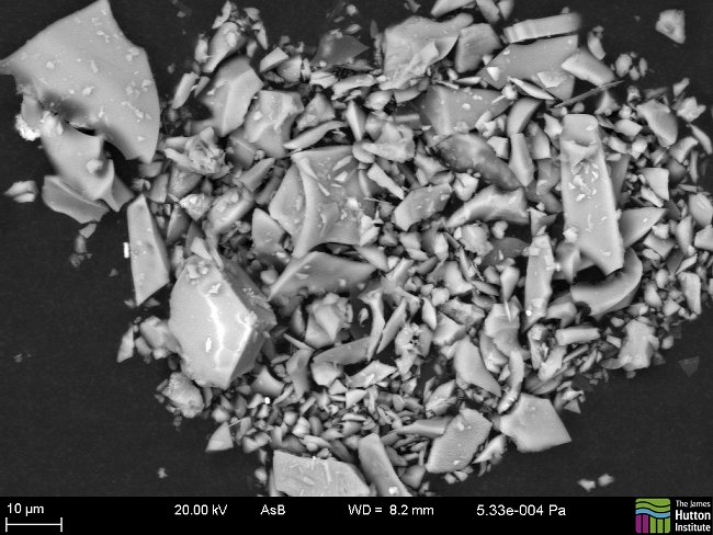 Volcanic Ash Microscope