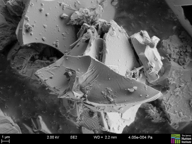 Volcanic Ash Microscope
