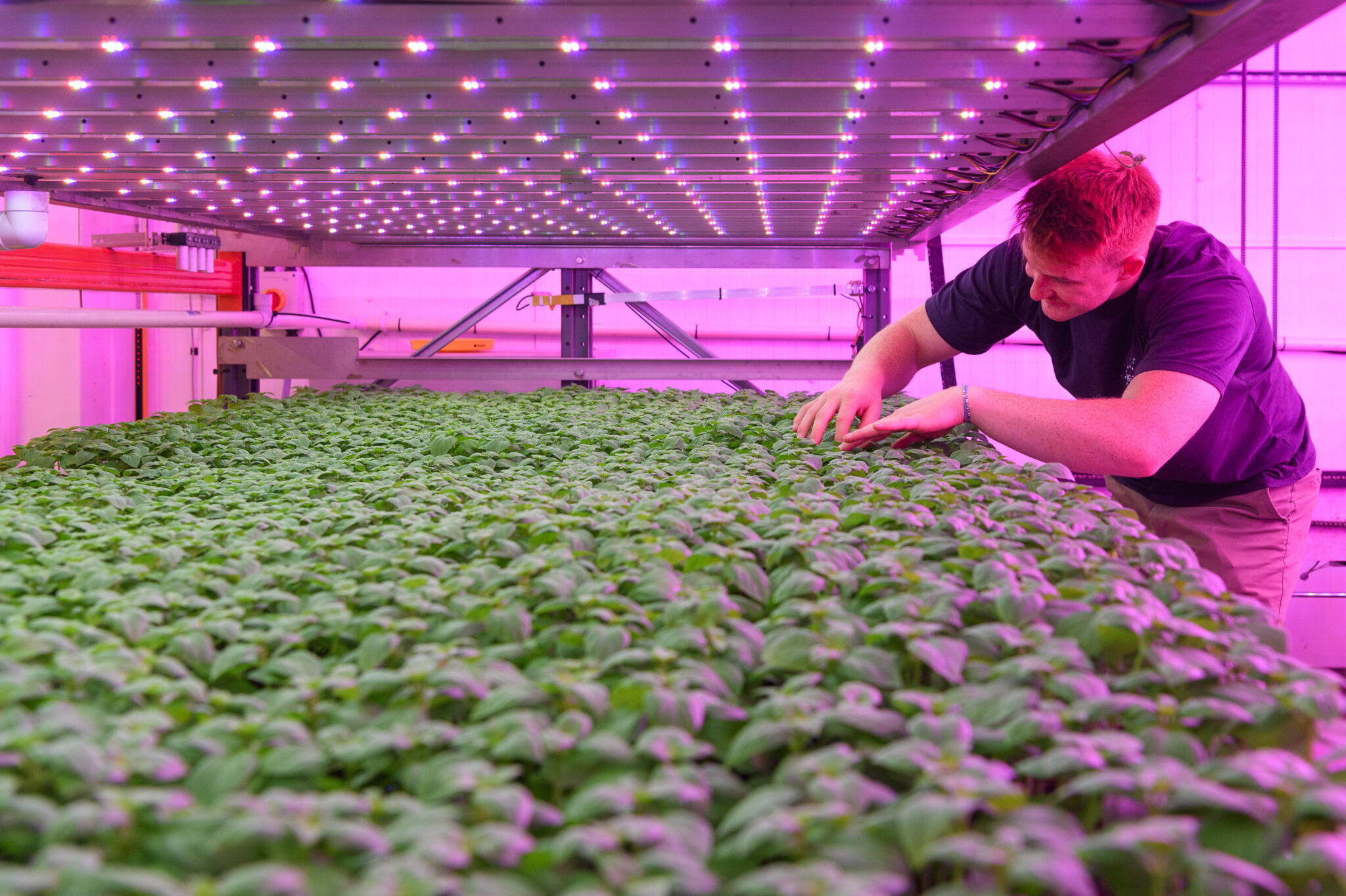 Innovation centres - James Hutton Institute