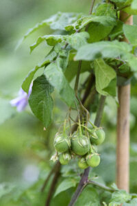 Who we are - James Hutton Institute