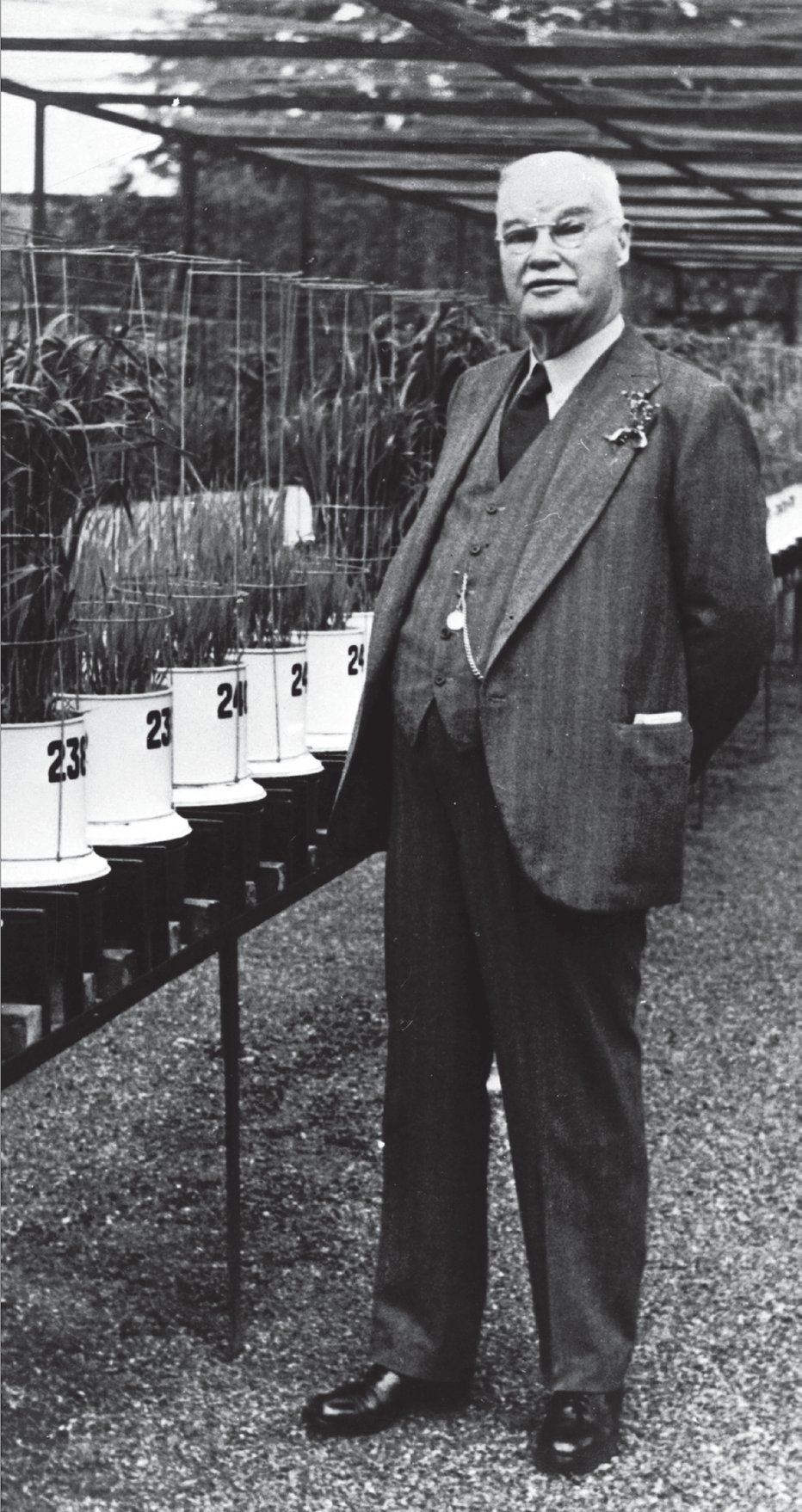 History - James Hutton Institute