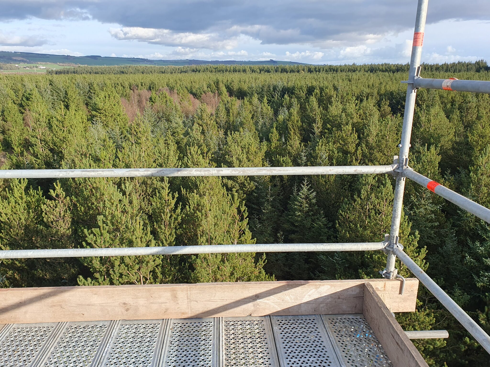 First-ever flux tower on forested peat to measure landscape scale emissions - James Hutton Institute
