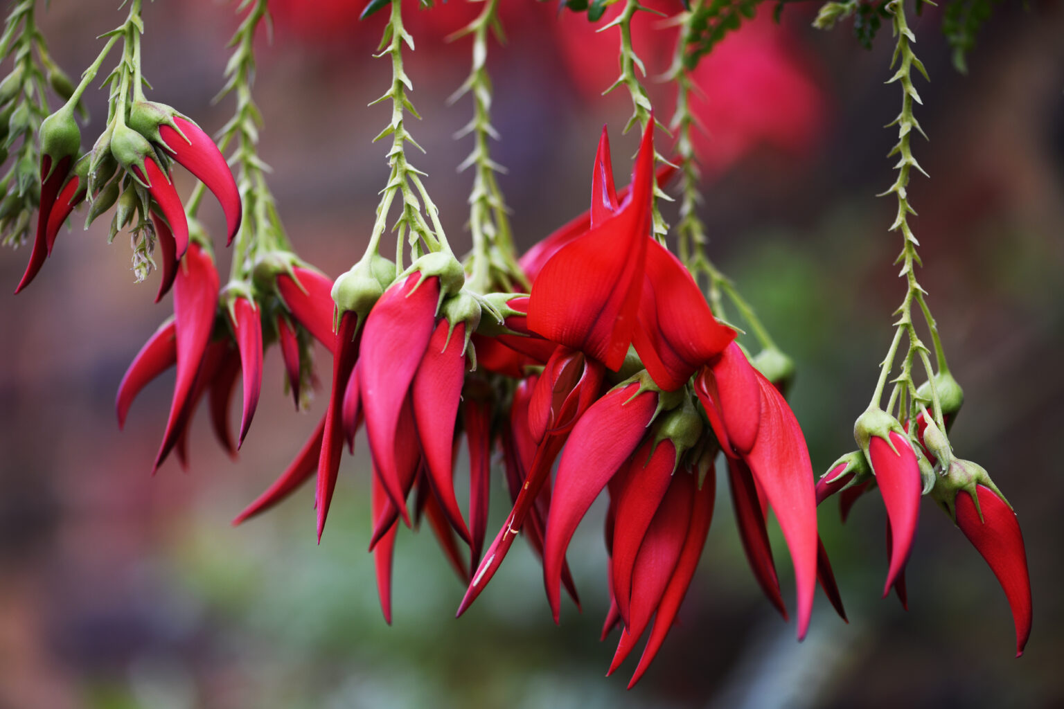 Supercharging Science With High Performance Computing James Hutton Institute