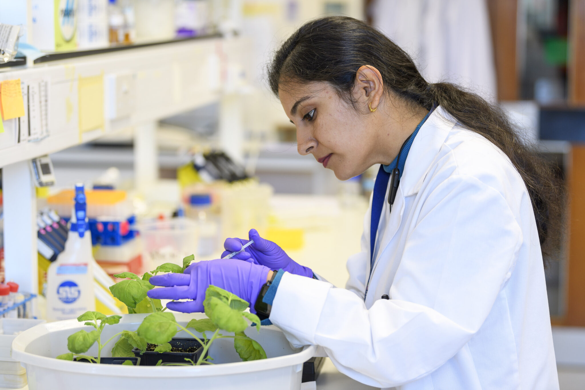 The James Hutton Institute achieves Silver Award in Athena Swan Charter - James Hutton Institute