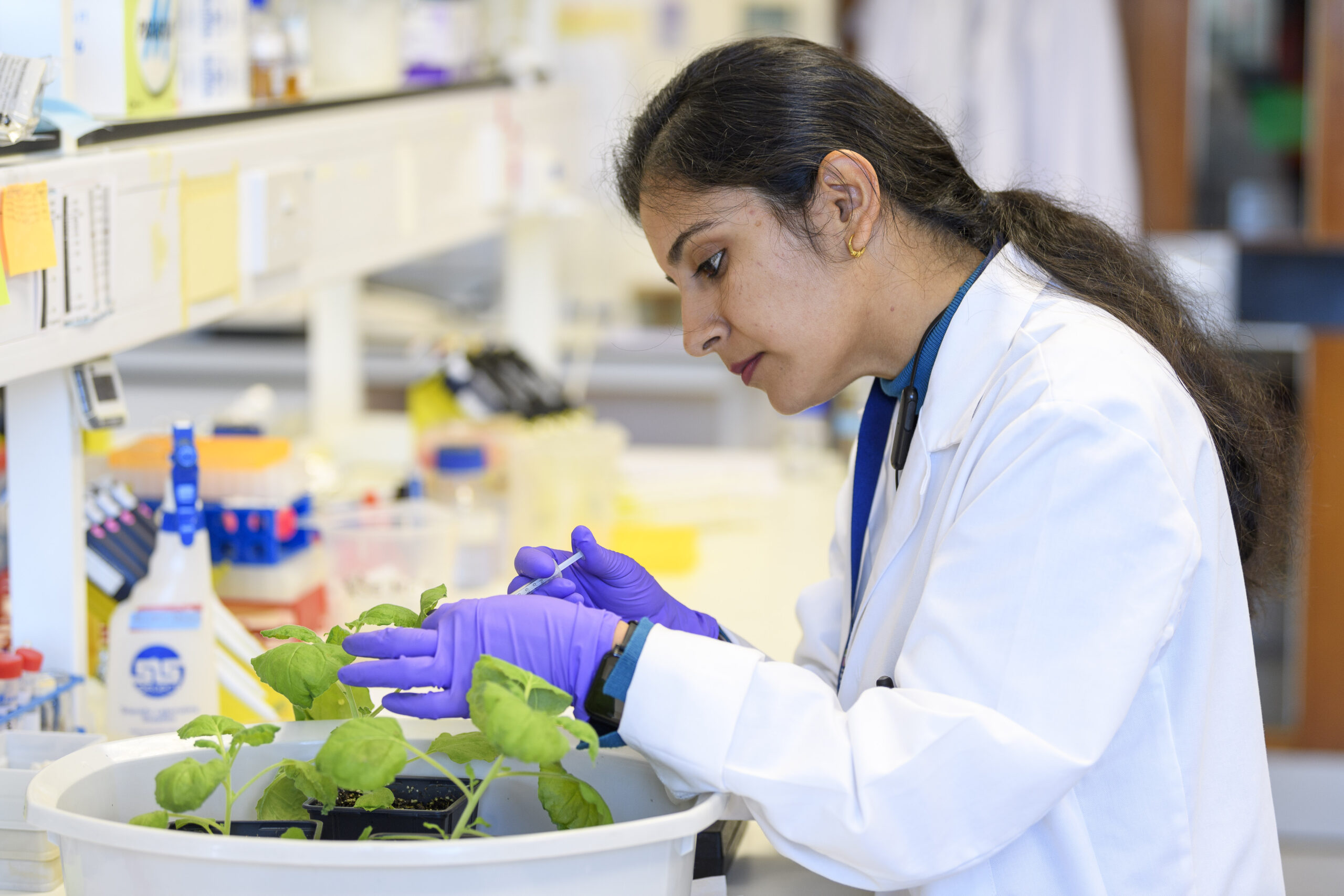 Case studies - James Hutton Institute