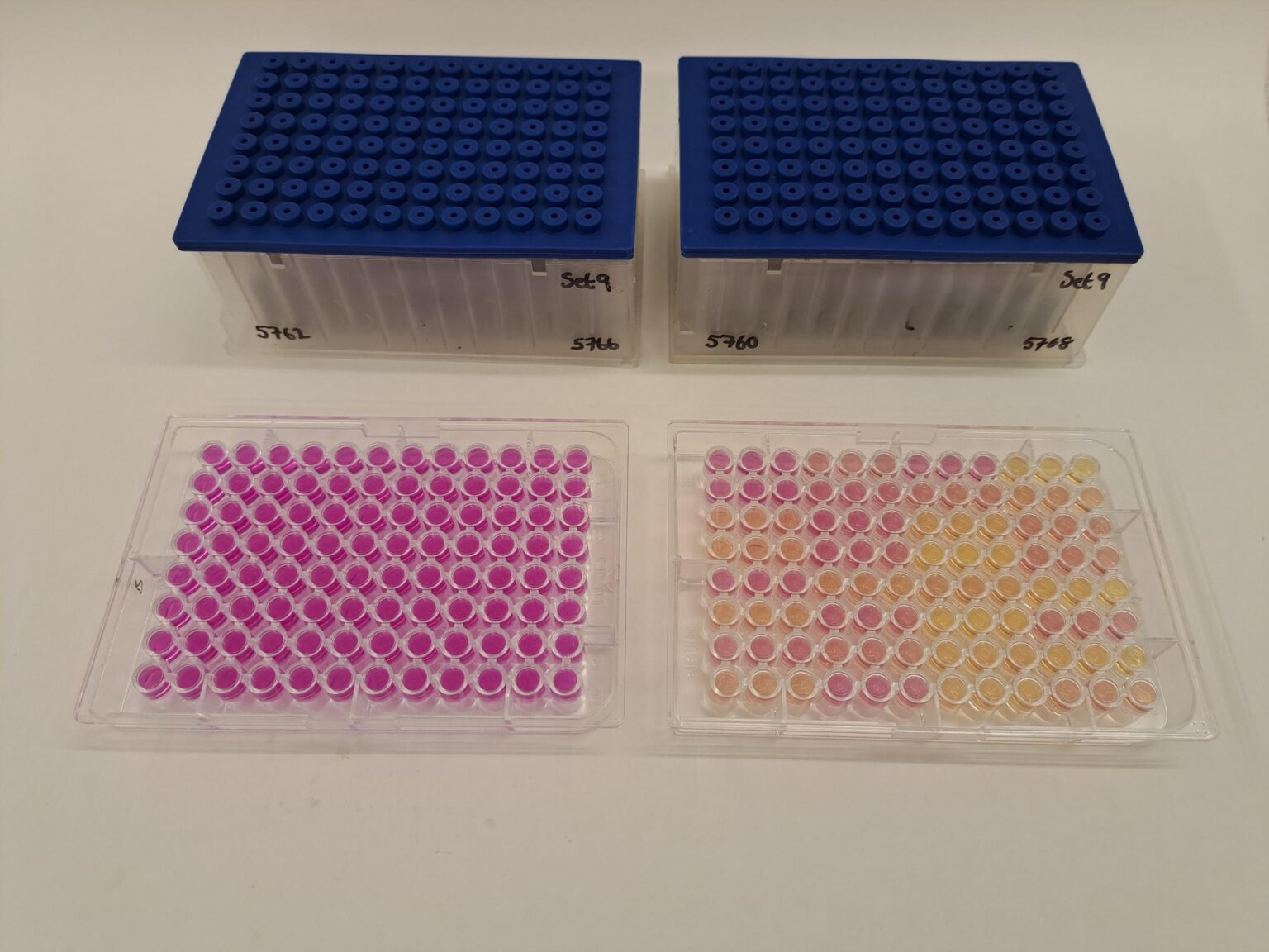 MicroResp - James Hutton Institute