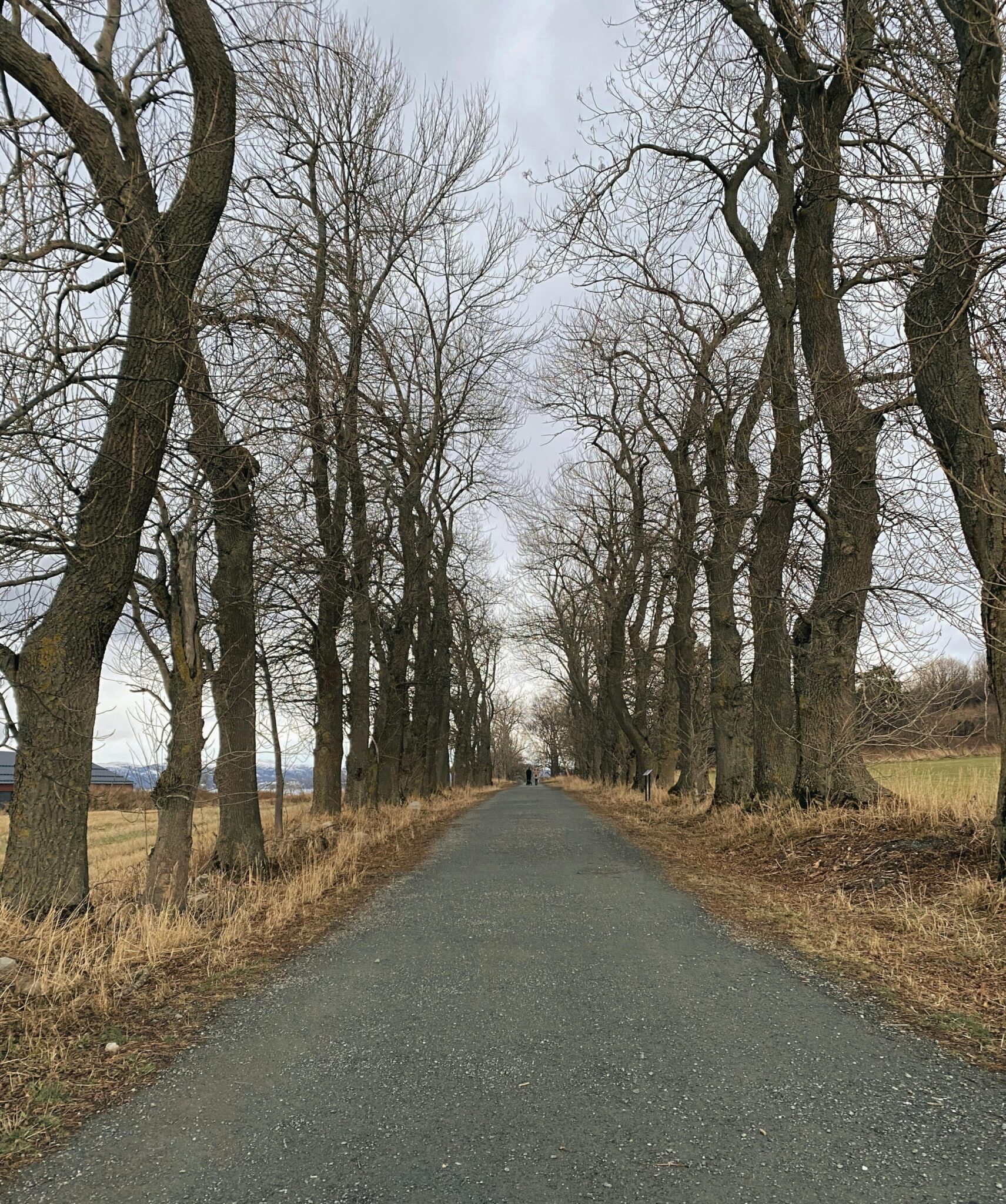 About - James Hutton Institute