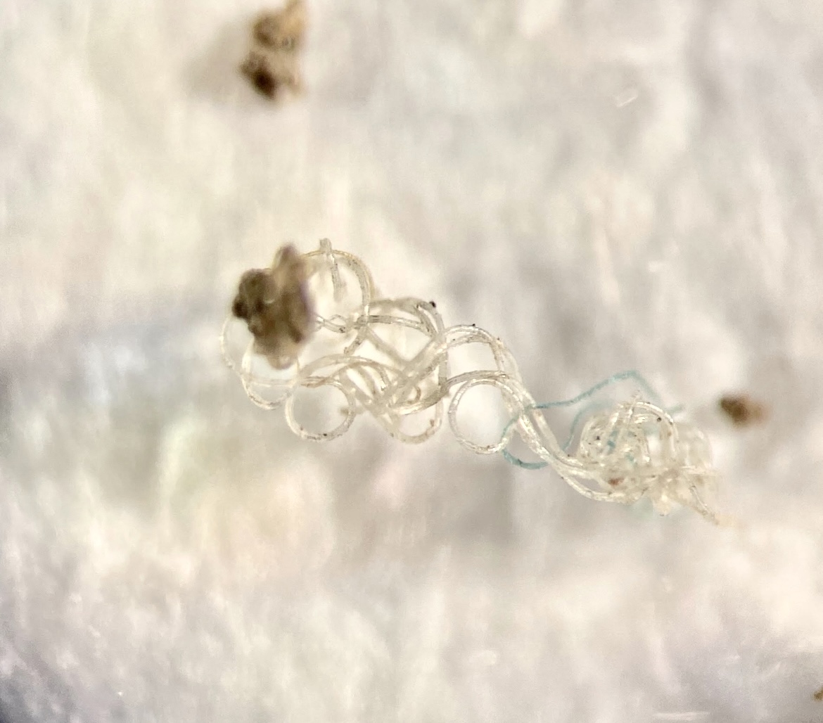 New study finds 1,450% increase in microplastic levels within soil ...