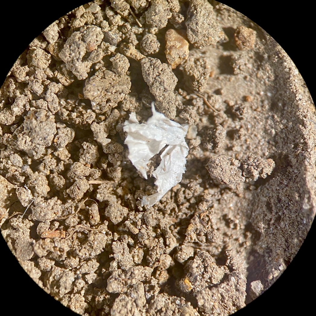 New study finds 1,450% increase in microplastic levels within soil ...