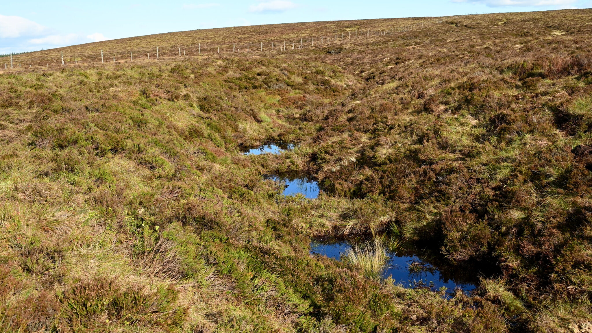Peatland restoration - James Hutton Institute