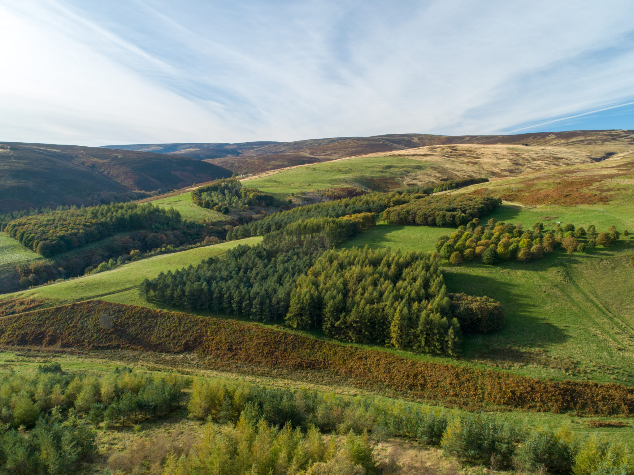Trees on farms - James Hutton Institute