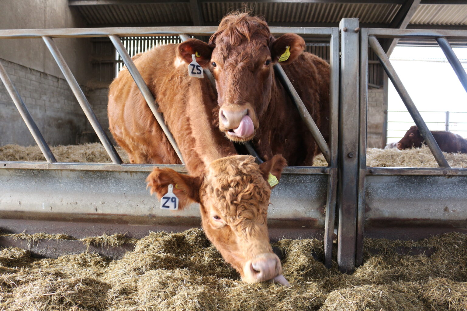 The James Hutton Institute, crops, soil and environmental research