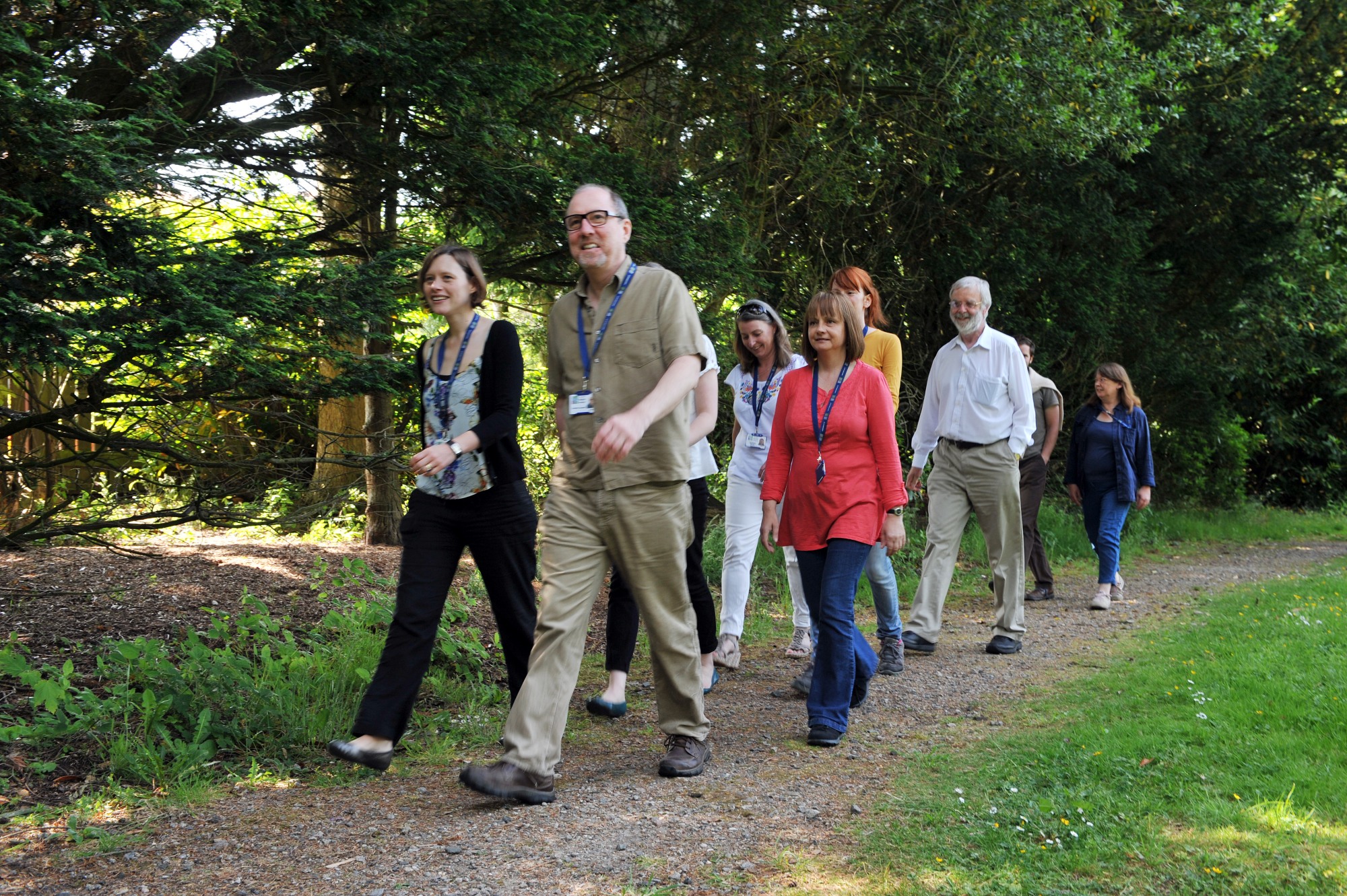 Stepping together – SEGS reflections on the Spring Step Count Challenge ...