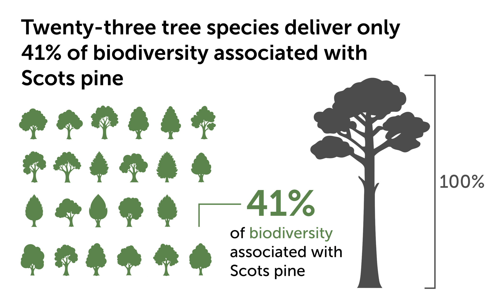 Study shows 23 tree species needed to support 40% of Scots pine ...