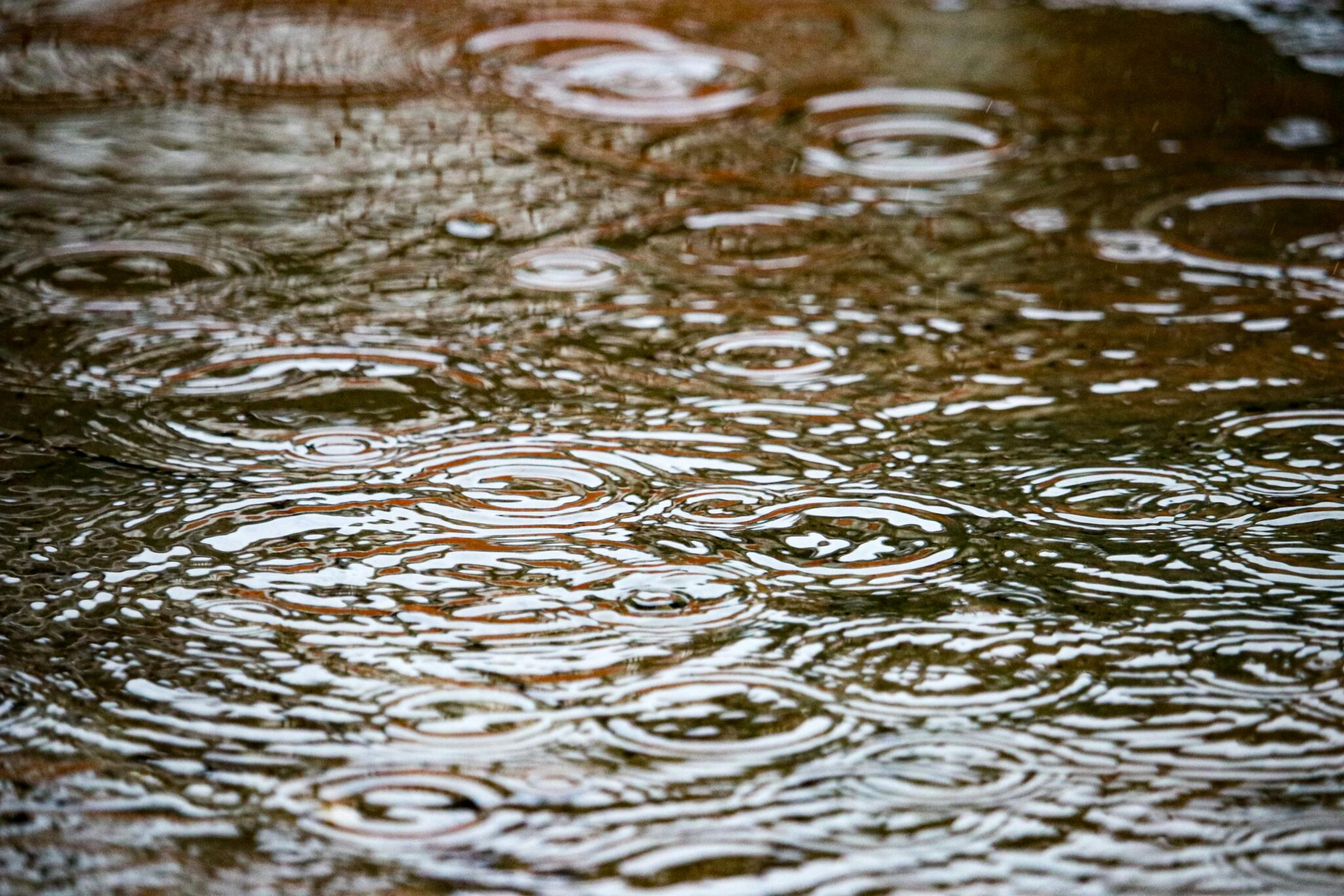 Winter 2025 - 2026, a season dominated by persistent rainfall