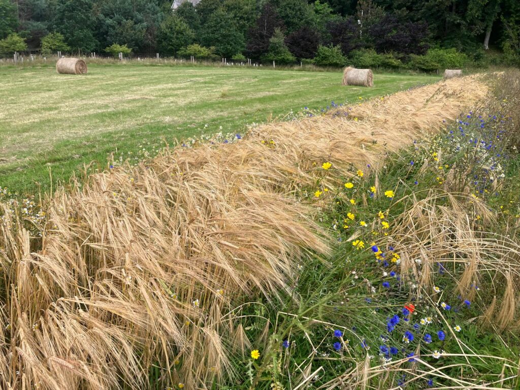PAS110 Digestate Testing - James Hutton Institute